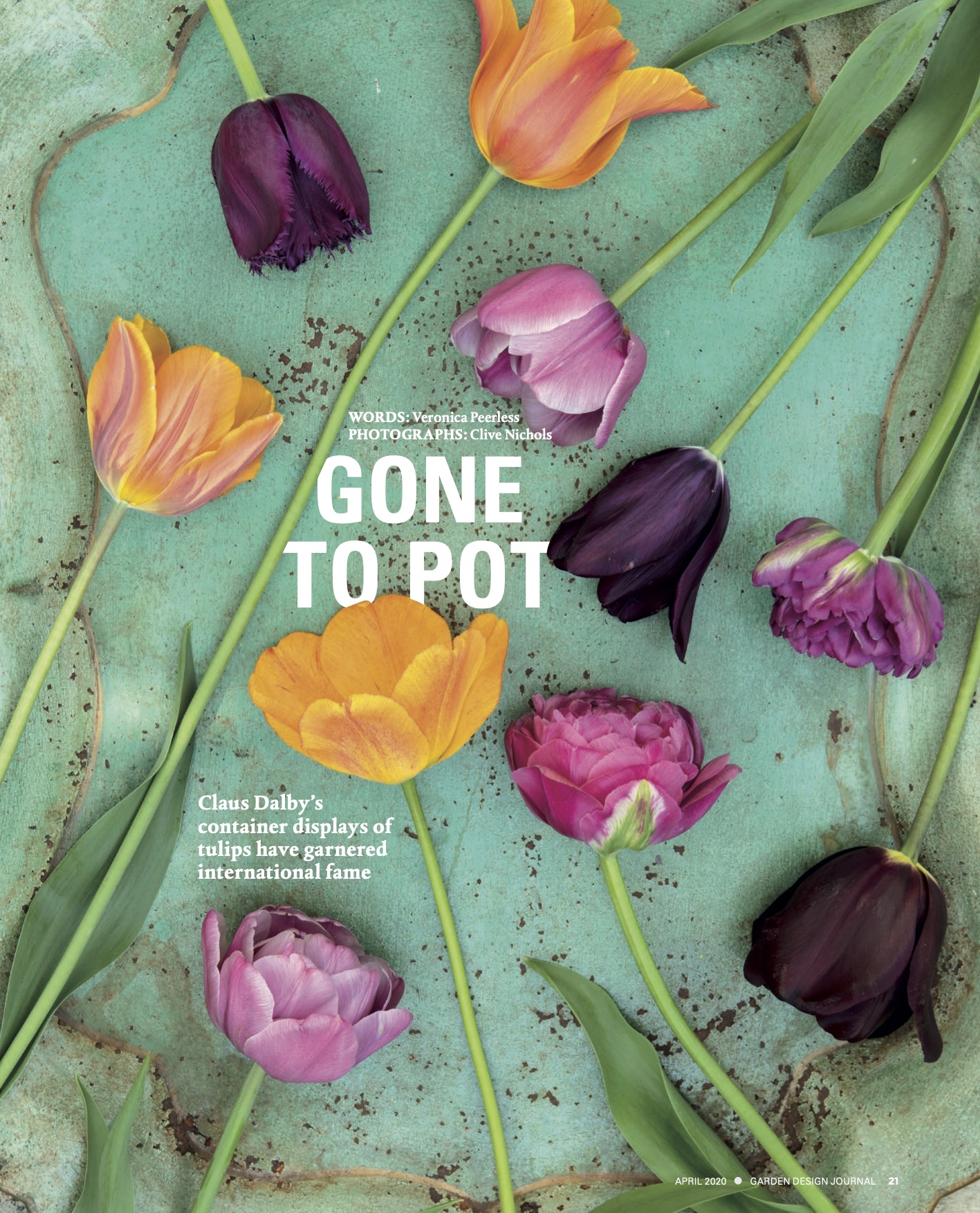 Portfolio – Veronica Peerless