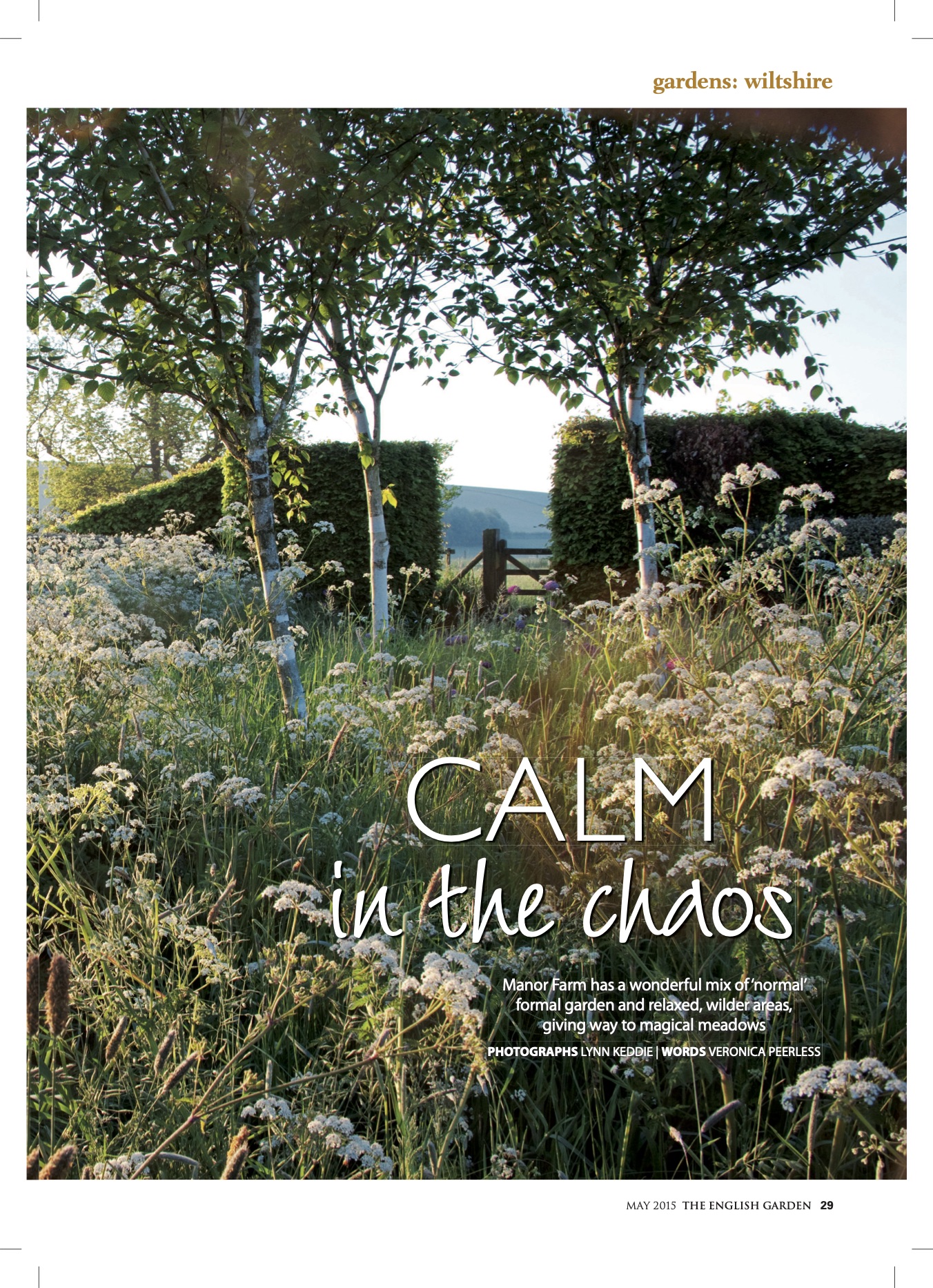 Portfolio – Veronica Peerless